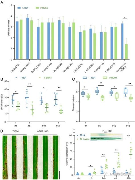 Pnas 浙江省农科院研究揭示调节水稻对稻瘟病抗性的新机制！ 知乎