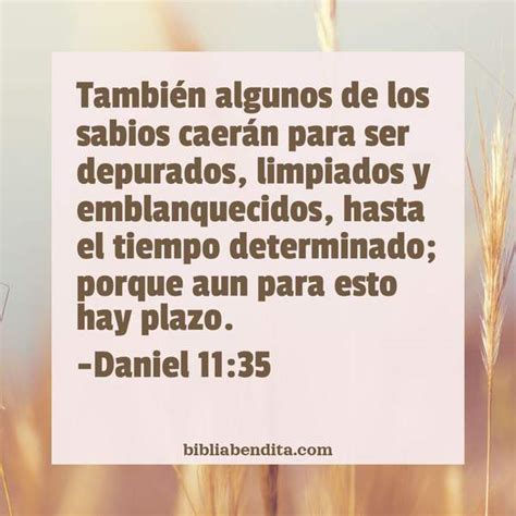 Explicación Daniel 11 35 También Algunos De Los Sabios Caerán Para Ser Depurados Limpiados Y