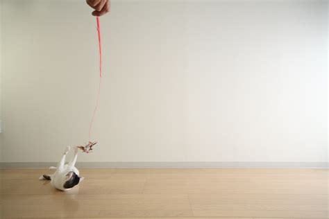 Img0233 Junku Flickr