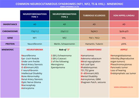 Common Neurocutaneous Syndromes Nf1 Nf2 Ts And Vhl Mnemonic