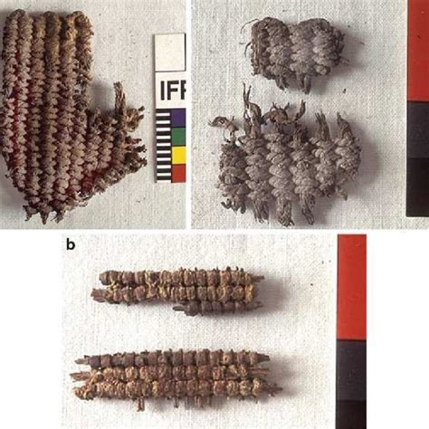 Foundation Of A Basket In Twining Basketry And The Diagram Of A Twining Download Scientific