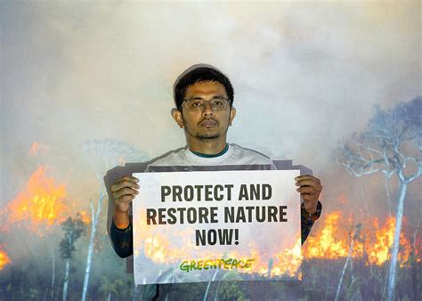 Greenpeace Black Sea Protest Proposed Gas Project Could Cause Tens Of