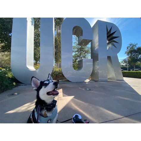 Anyone Taking Bus 134 With Matt Vaezi How Is He R Ucr