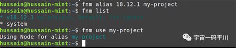 fnm，更快的node js 版本管理器 csdn博客