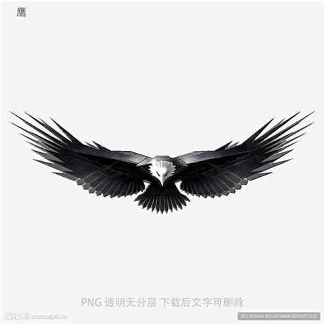 鹰设计图 Psd分层素材 Psd分层素材 设计图库 昵图网