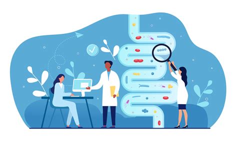 The Gut Hormone Connection How Beta Glucuronidase Shapes Estrogen Metabolism And Patient Outcomes