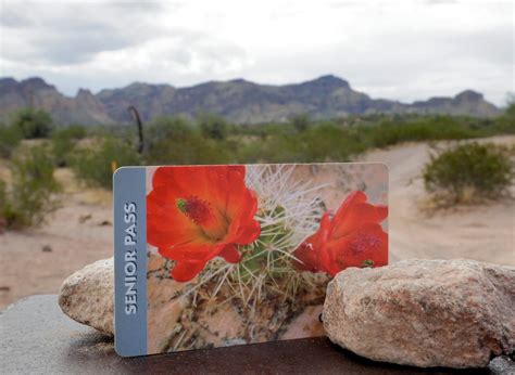 National Parks Lifetime Senior Pass Last Day To Get Yours Before Prices Increase Heres How