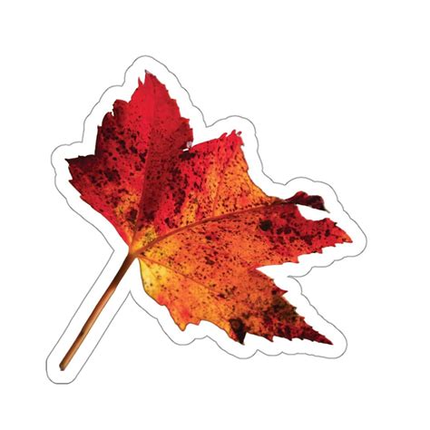 Maple Leaf Stickers Autumn Leaves Sticker Fall Maple Leaf Autumn And