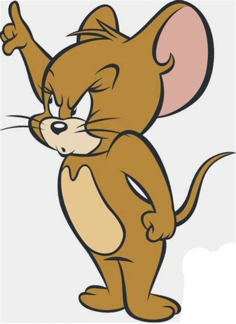 Pin By Miss Rizvi On Cartoons Tom And Jerry Cartoon Tom And Jerry Tom And Jerry Drawing