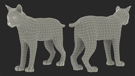 Bobcat Fur 3d Model 99 Max Free3d