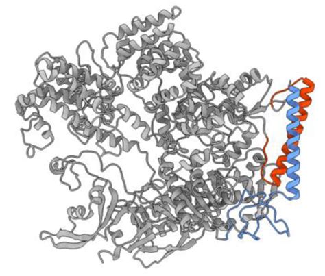Designed Allosteric Protein Logic Ljubetič Lab Ki