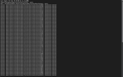 Please Help Me With This On Mac Mojave Cant Launch Flutter From Console In Bin Folder Screen