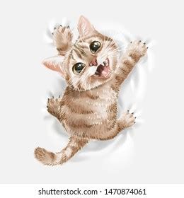 Cute Cat Hanging On White Cloth Stock Vector Royalty Free 1470874061