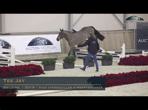 Auction Mechelen Tee Jay