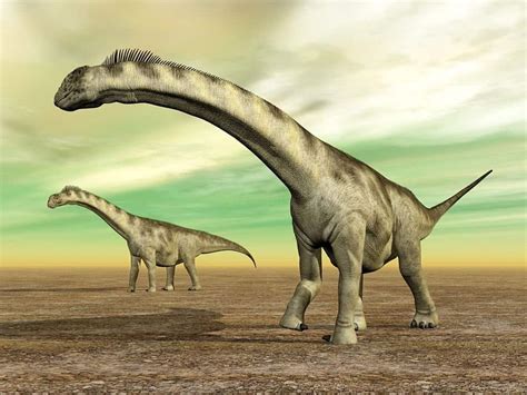 Top 15 Famous Dinosaurs With A Long Neck Dinosaur Universe