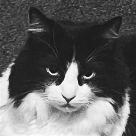 Stream Subic Music Listen To Songs Albums Playlists For Free On Soundcloud