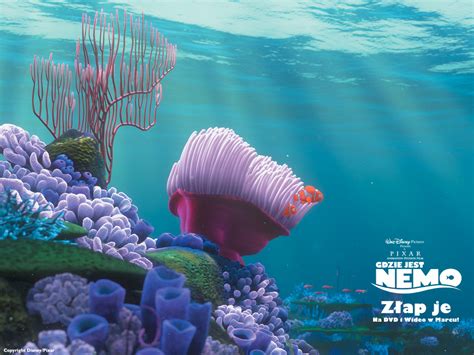 Finding Nemo Coral Reef Background