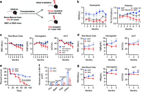 The Aging Bone Marrow Microenvironment Plays An Important Role In The Download Scientific