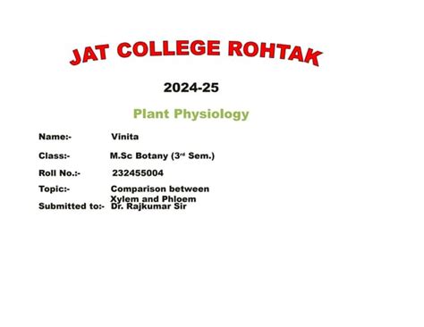 Xylem And Phloem Their Categories And Their Difference Pptx