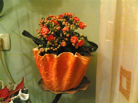 Ukrasne Saksije By Danijela