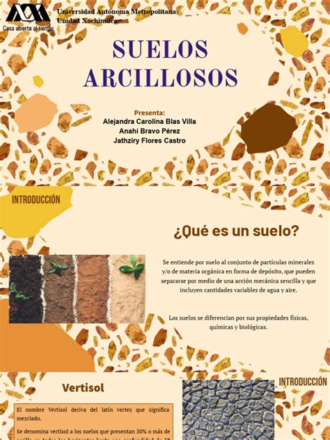 Suelos Arcillosos Pdf Arcilla Minerales