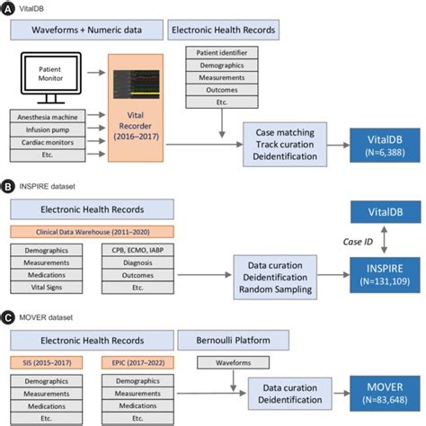 Schematic Representation Of Data Extraction And Creation Of Surgical