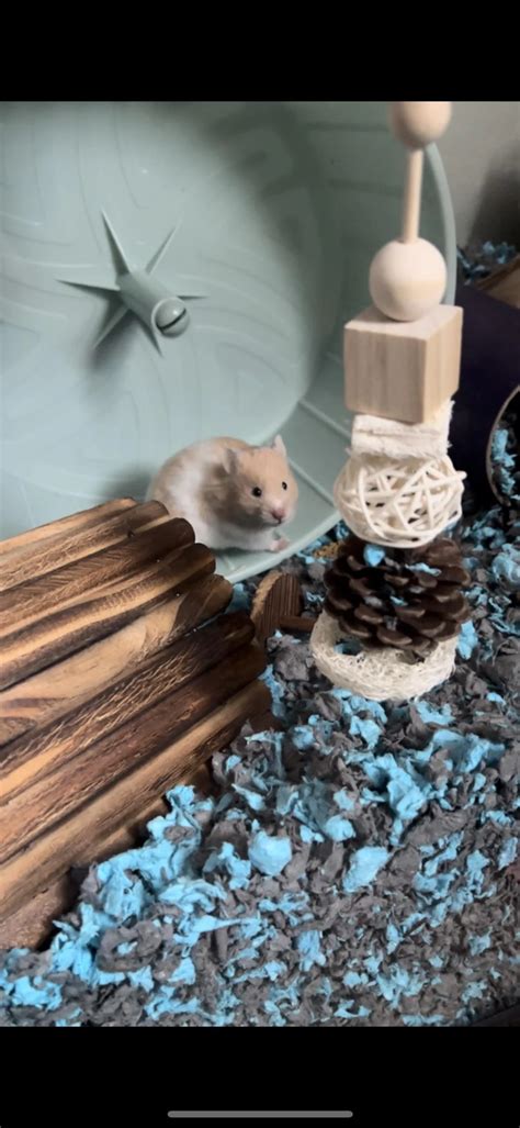 Meet Lilith Scrolller