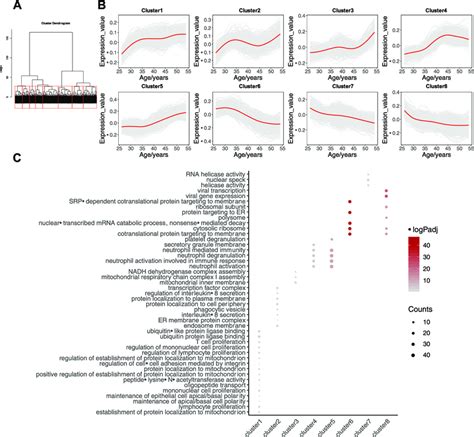trajectories of gene expression throughout age form functional modules