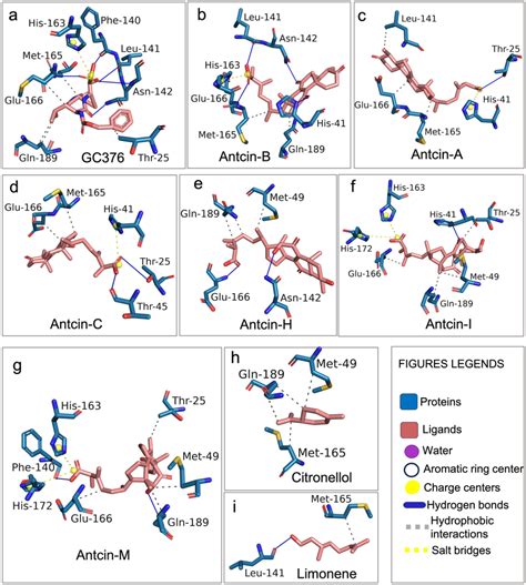Detailed Visualization Of The Interaction Between The Native Ligand And