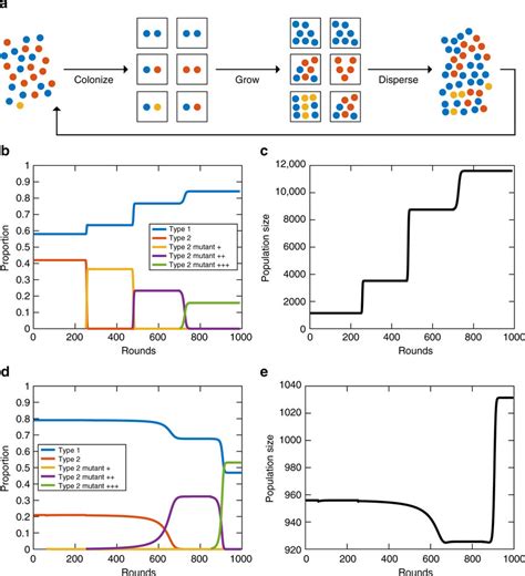 Evolution Of Paradoxical Behavior In A Metapopulation Model A A Download Scientific Diagram