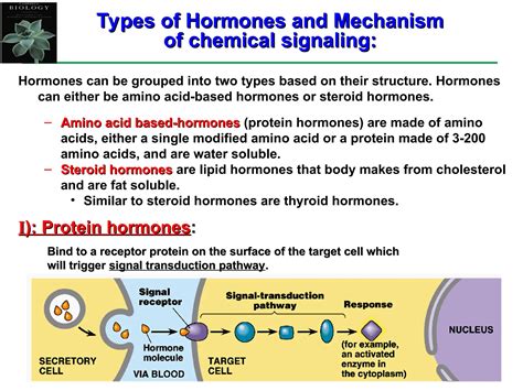 Hormones Its Classification And Chemical Naturelectureppt