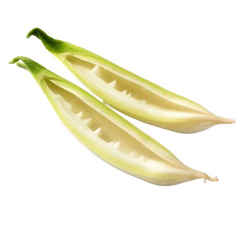 Gambar Dua Buah Lengkeng Png Vektor Psd Dan Clipart Dengan Background Transparan Untuk