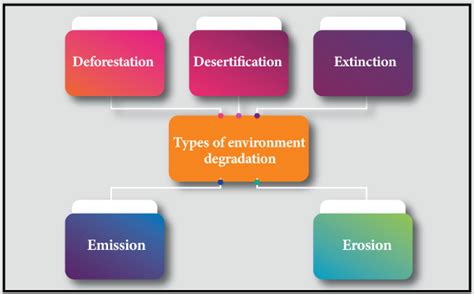 Environmental Pollution And Degradation Causes Of Environmental