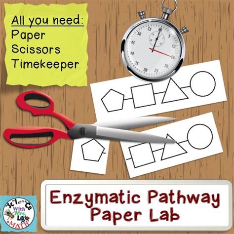 Enzyme Lab A Paper And Scissors Group Simulation Enzymes Teaching