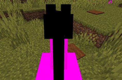 Texture Bug Version 1213 Java Edition Support Support