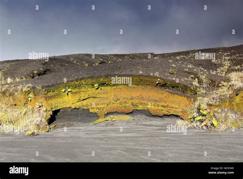 Walking The 8x12kmwide Volcanic Caldera Stepping On Loose Black Ash
