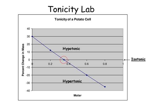 Diffusion And Osmosis Ppt Download