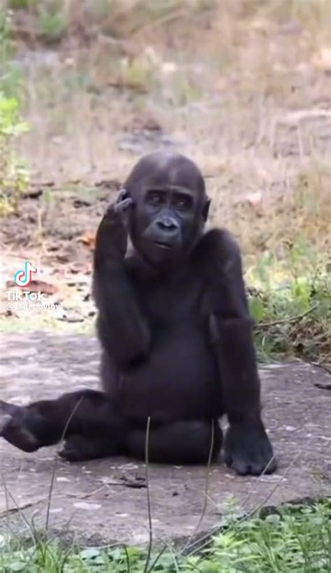 Drew R Emergencyintercom