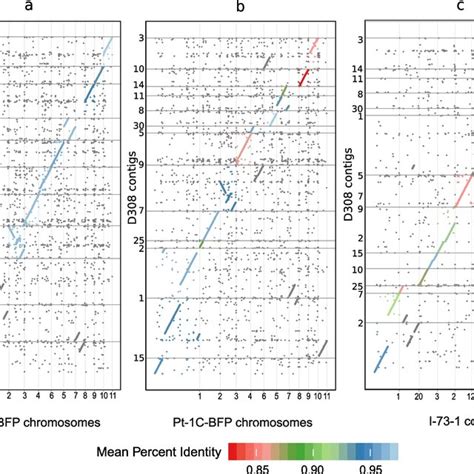 Full Genome Alignments Of Newly Sequenced Long Read Assemblies Of