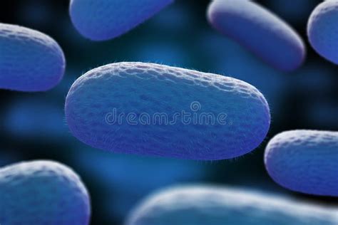Microscopic View Of Bacillus Bacteria 3d Illustration Stock Illustration Illustration Of