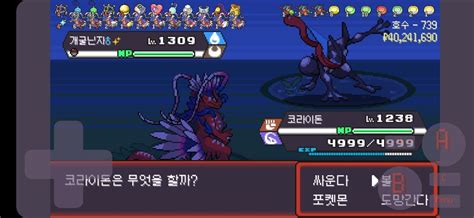 드디어 만났다 흑굴닌자 포켓몬 에펨코리아