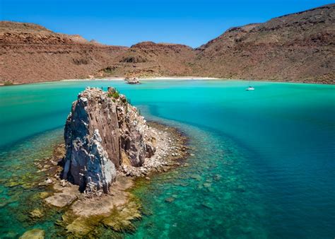 Espiritu Santo Island Snorkeling La Paz Baja Adventures Baco