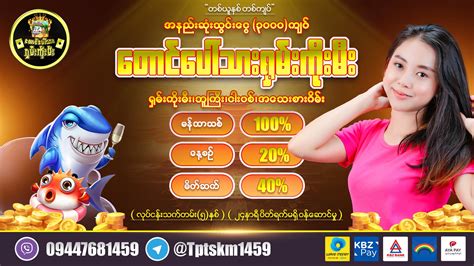 တောင်ပေါ်သားရှမ်းကိုးမီး