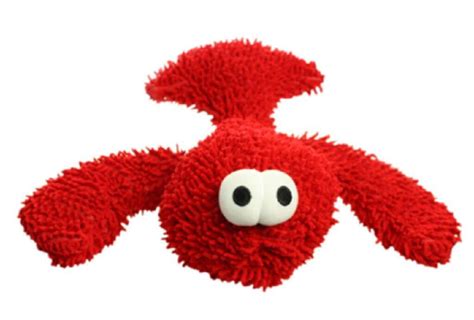Five Must Have Summer Toys For Your Furry Friend
