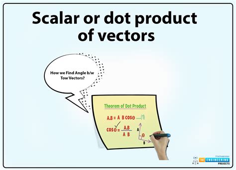 What Is A Vector And Scalar Scalar And Vector Quantities Dp Ib Physics