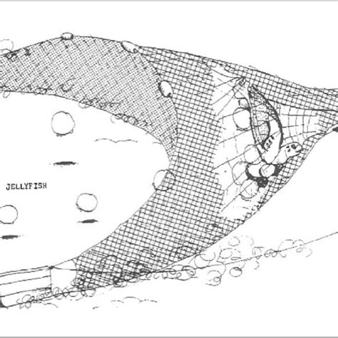 Pdf Reducing Sea Turtle Bycatch In Trawl Nets A History Of Nmfs Turtle Excluder Device Ted