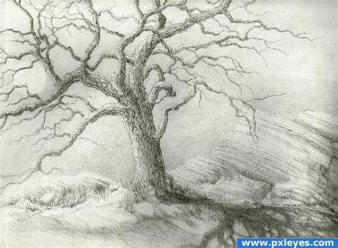Tree Shadow Drawing At Explore Collection Of Tree