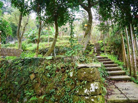 台北貓空一日遊景點推薦 樟樹步道x樟湖步道x樟山寺~完整瓦厝支線爬山路線導覽地圖 附公車交通資訊 莎莉哈小姐