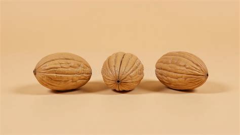 Three Walnut Shells Against A Beige Backdrop Stock Illustration Illustration Of