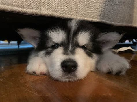 Whats A Reasonable Backlit Low Cost Alternative To My Old Kobo Wifi